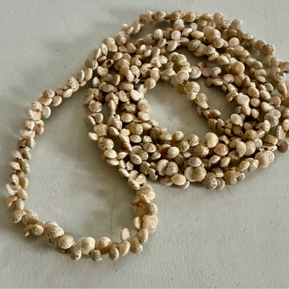 Jewelry | Natural Tiny Shell Necklace | Poshmark